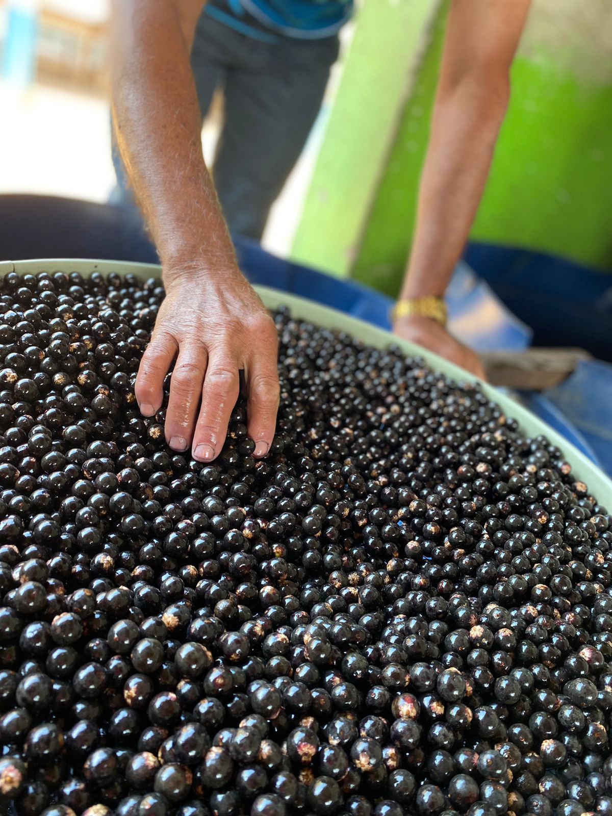 AÇAÍ DE FEIJÓ: DOSSIÊ HISTÓRICO E CULTURAL DO ESTADO - www.femcultura ...